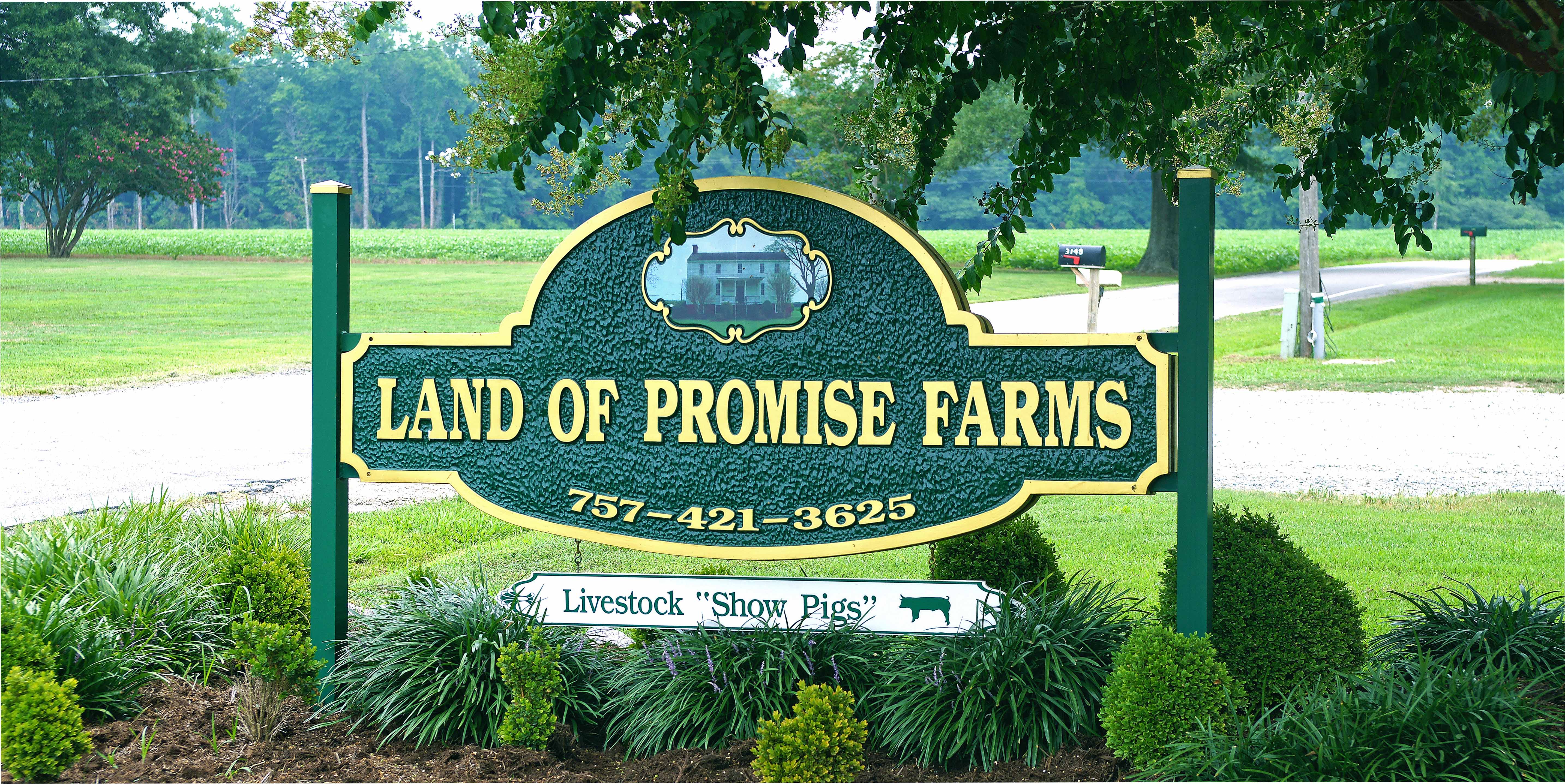 Land Of Promise [1935] - masterinnovation